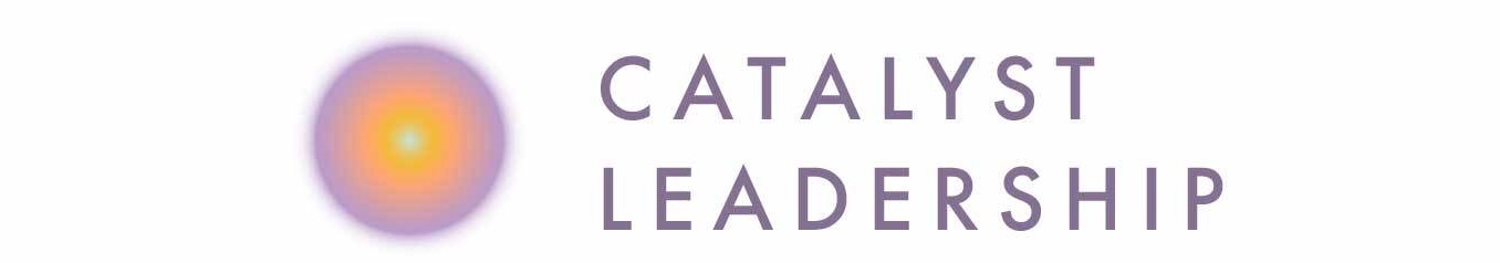 Meet the 2022 Catalyst Leadership Cohort | Rights & Democracy Institute